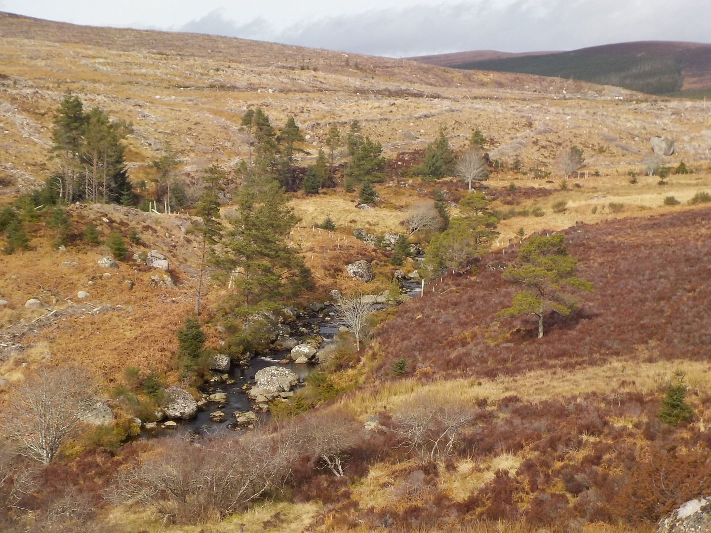 Walk Report - Easter Ross Easter • Walkhighlands