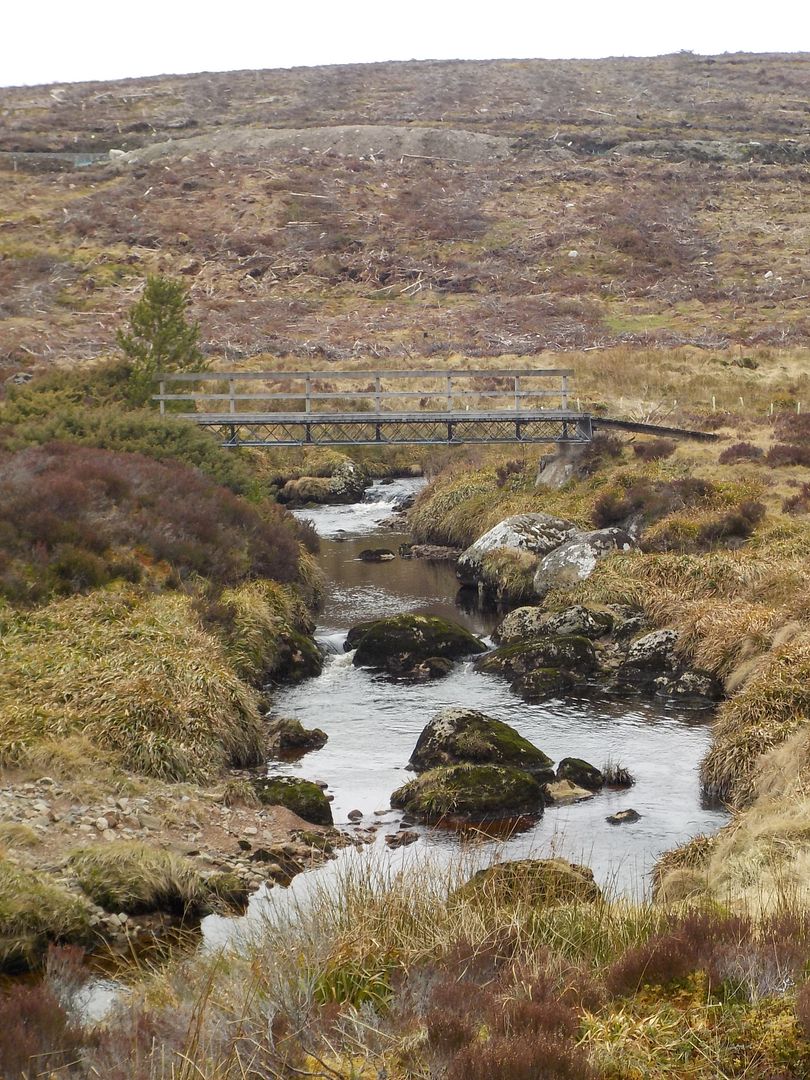 Walk Report - Easter Ross Easter • Walkhighlands