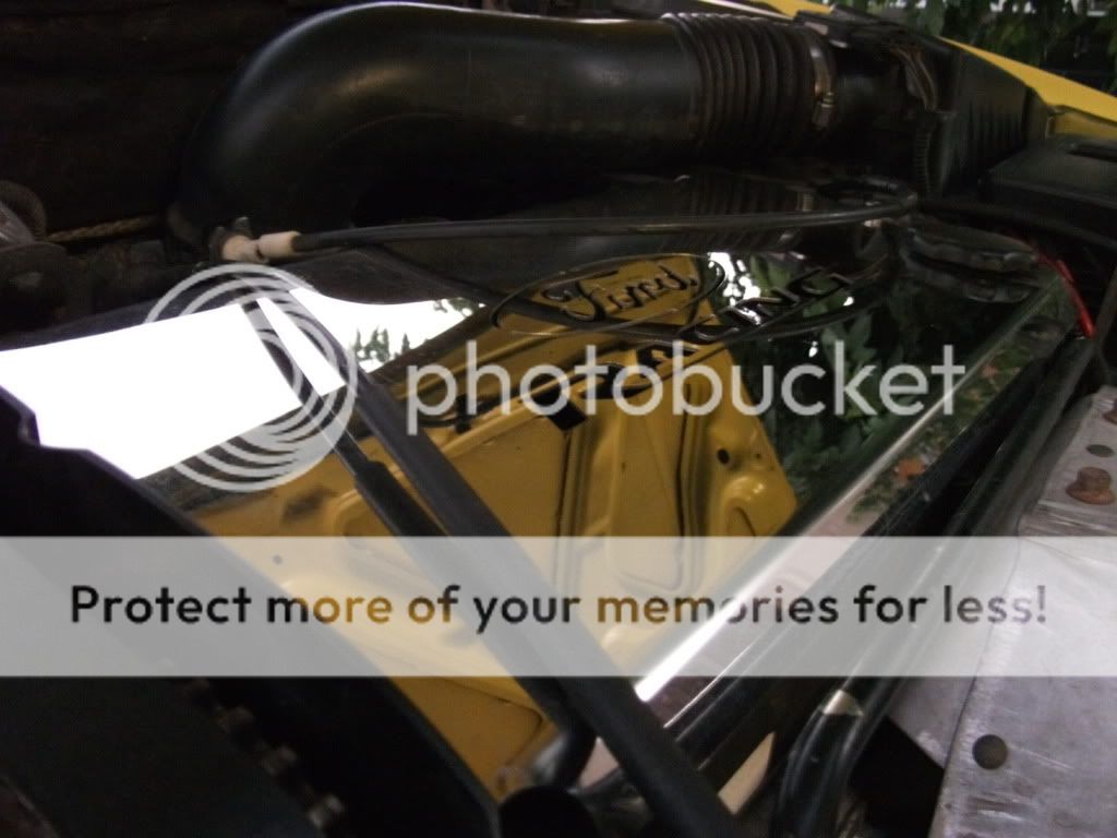 Ford Racing Zetec Engine Cover | Ford Focus Forum