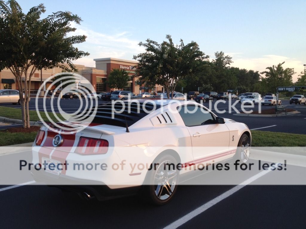 Rear window louver | Ford Shelby GT500 Forum
